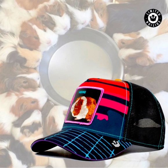 Goorin Bros | Accessories | Goorin Bros Guinea Pig Vibing Vibes Limited ...